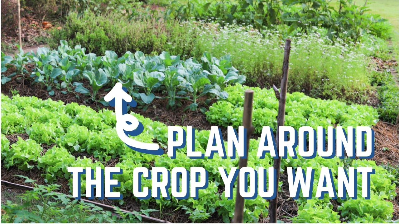 Maps, Crop Rotation, Harvest – Videos – Mother Earth News